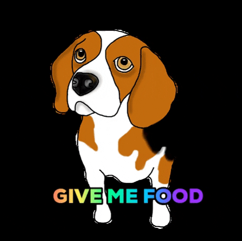 Dog Beagle GIF - Find & Share on GIPHY