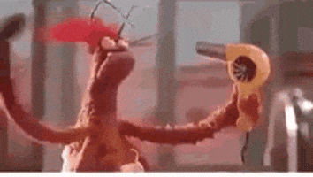 Puffy Hair GIFs - Get the best GIF on GIPHY