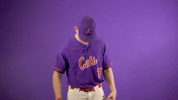 Baseball GIFs on GIPHY - Be Animated