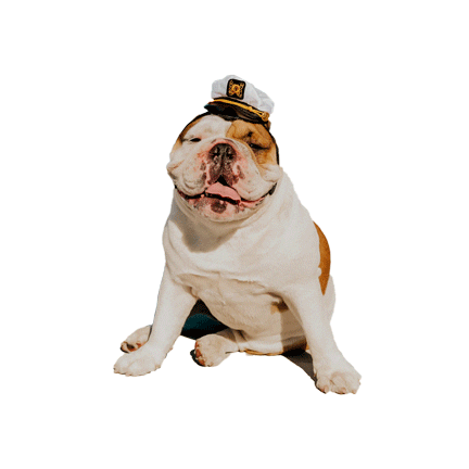 Captain Bulldog Sticker by Addie - University of Redlands Mascot for ...