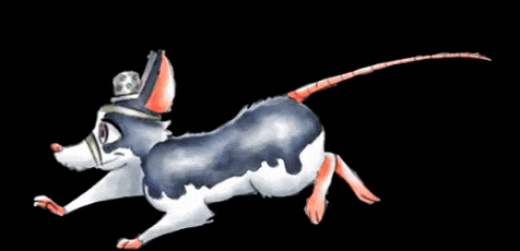 Rataiada GIFs - Get the best GIF on GIPHY