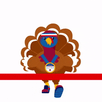 Turkey Meme Gif
