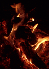 Bonfire Gif