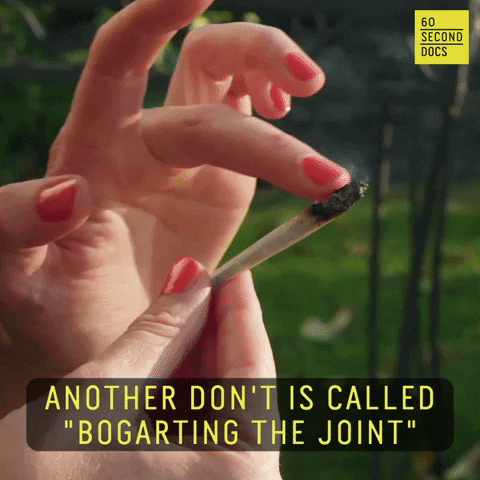 Smoke Marijuana GIFs - Get the best GIF on GIPHY