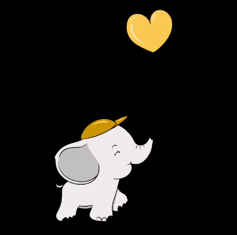 Baby Elephant Animated Gif