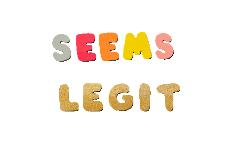 Seems Legit Gif