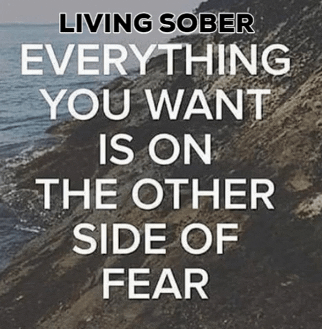 Living Sober GIFs - Get the best GIF on GIPHY