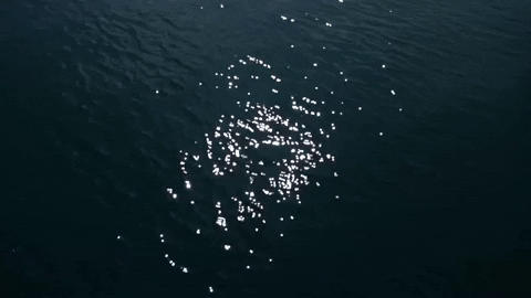 Mar Azul GIFs - Get the best GIF on GIPHY