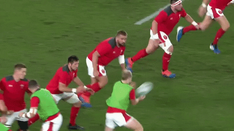 Rugby World Cup - Match Day 24 by World Rugby | GIPHY