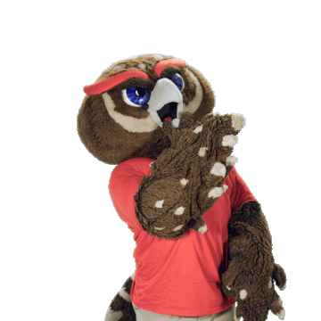 Fau Owlsley Sticker by Florida Atlantic University for iOS & Android ...