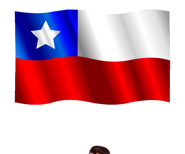 Javiielo Sticker by Dimelo Vi for iOS & Android | GIPHY