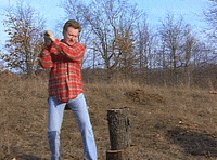 Chopping Wood Gif