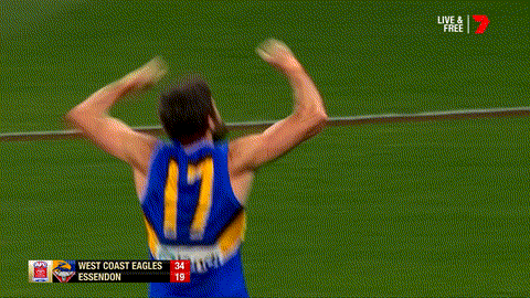West Coast Goals GIF by AFL - Find & Share on GIPHY