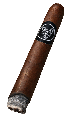 Renegade Cigars GIFs on GIPHY - Be Animated