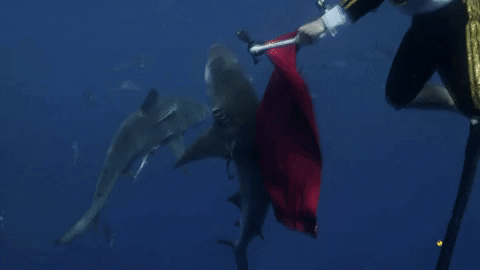 Animated Gif Fish Jackass