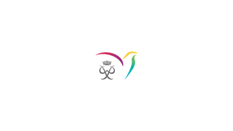 Duke of Ed Canada GIFs on GIPHY - Be Animated