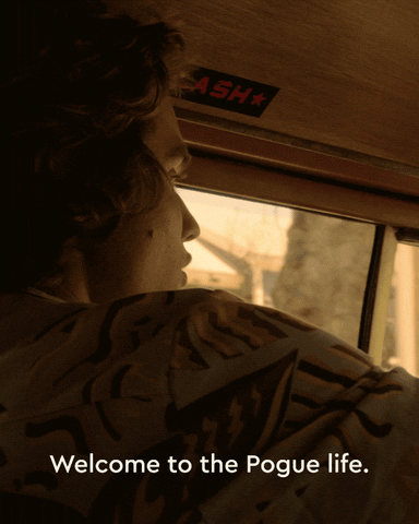 Pogue GIFs - Get the best GIF on GIPHY