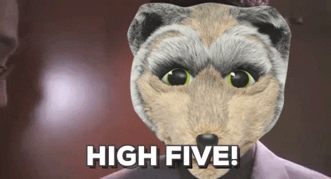 High Five Minnesota Timberwolves GIF by FOX Sports North/Wisconsin ...