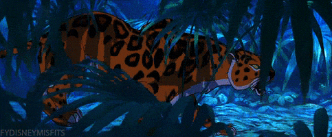 Sabor GIFs - Find & Share on GIPHY