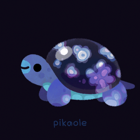 Excited Turtle Gif