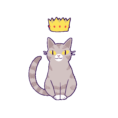 Cats Win GIFs - Find & Share on GIPHY