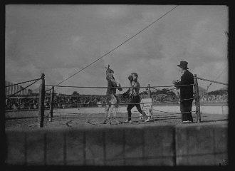 IT UP GIFs on GIPHY - Be Animated