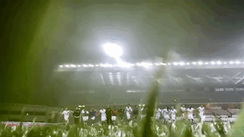 Padova Calcio GIFs on GIPHY - Be Animated