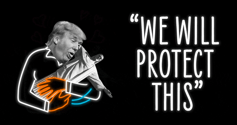 Wad Newsletter GIFs - Get the best GIF on GIPHY