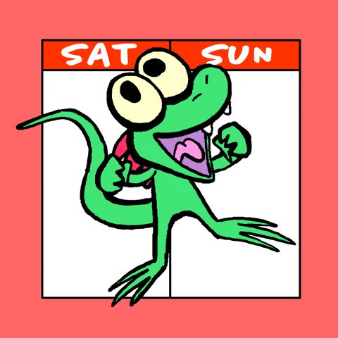 NEW Lizard Party by Nicky Rojo | GIPHY