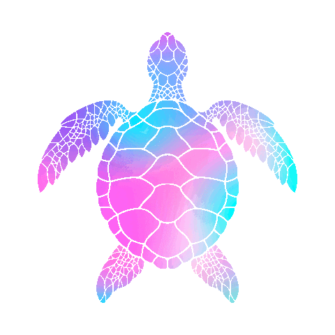 Summer Sea Sticker by The Animal Pack for iOS & Android | GIPHY