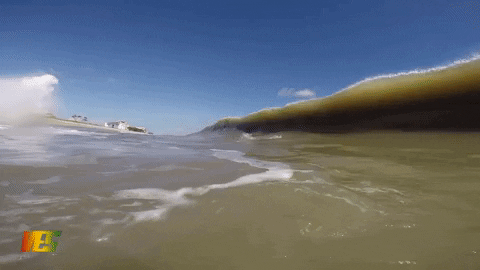 Beach Wave GIF by Bodyboarding Panama - Find & Share on GIPHY