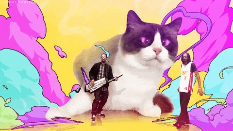 7 Days of Funk GIFs on GIPHY - Be Animated