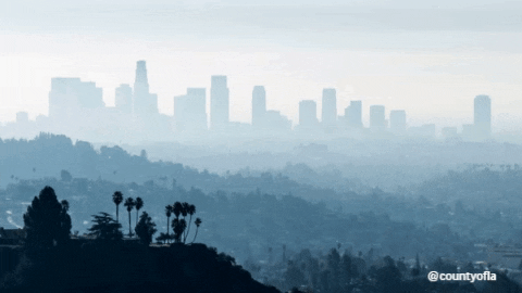 Bad Air Quality GIFs - Get the best GIF on GIPHY
