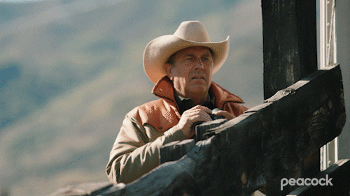 PeacockTV GIF - Find & Share on GIPHY