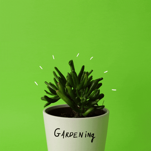 Recycle Reuse GIFs - Get the best GIF on GIPHY