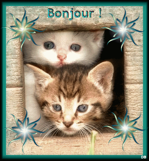 Blog GIFs - Find & Share on GIPHY