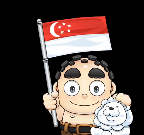 Ndp-singapore GIFs - Get the best GIF on GIPHY