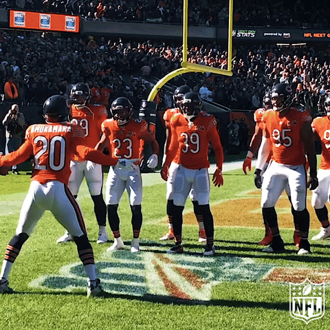 Celebrate Chicago Bears GIF by NFL - Find & Share on GIPHY
