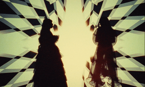 Lucius GIFs on GIPHY - Be Animated