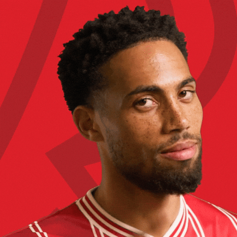 Bristol City FC GIFs on GIPHY - Be Animated