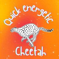 Cheetah Gif