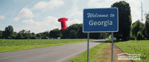 Welcome To Georgia GIFs - Get the best GIF on GIPHY