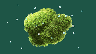 Mosses GIFs - Get the best GIF on GIPHY