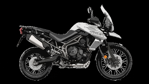 Triumph Tiger Xcx GIFs - Get the best GIF on GIPHY