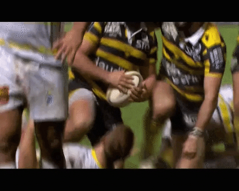 Stade Montois Rugby GIFs on GIPHY - Be Animated