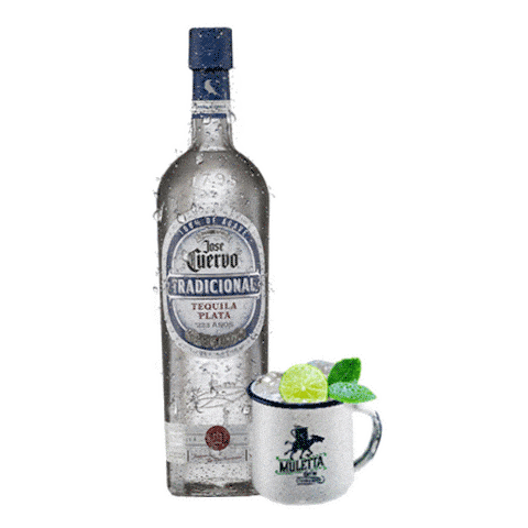 Jose Cuervo Tradi Sticker by Licor 43 Mexico for iOS & Android | GIPHY