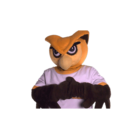 Ncaa Mascot Sticker by Rowan University for iOS & Android | GIPHY