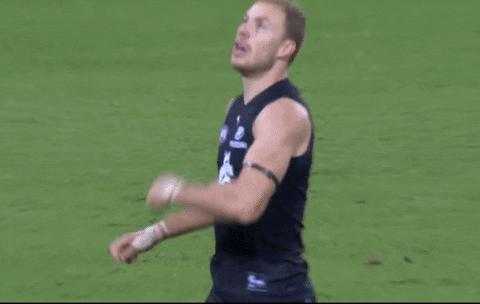 Carlton Fc Afl GIF by Carlton Football Club - Find & Share on GIPHY
