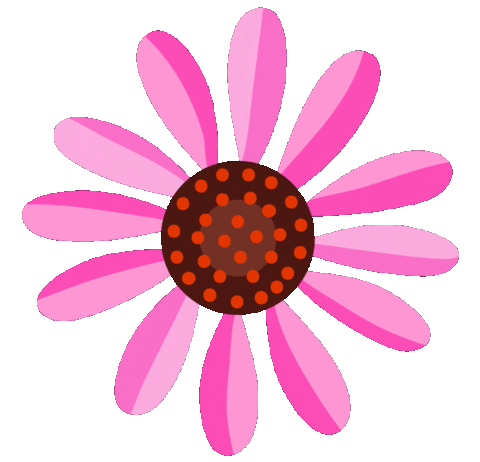 Pink Flower Sticker by Kew Gardens for iOS & Android | GIPHY