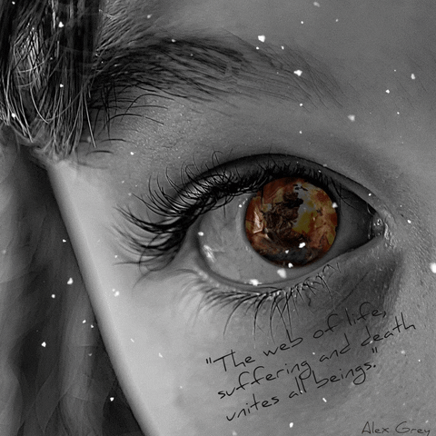 Eyes Love GIF by Positive Programming - Find & Share on GIPHY